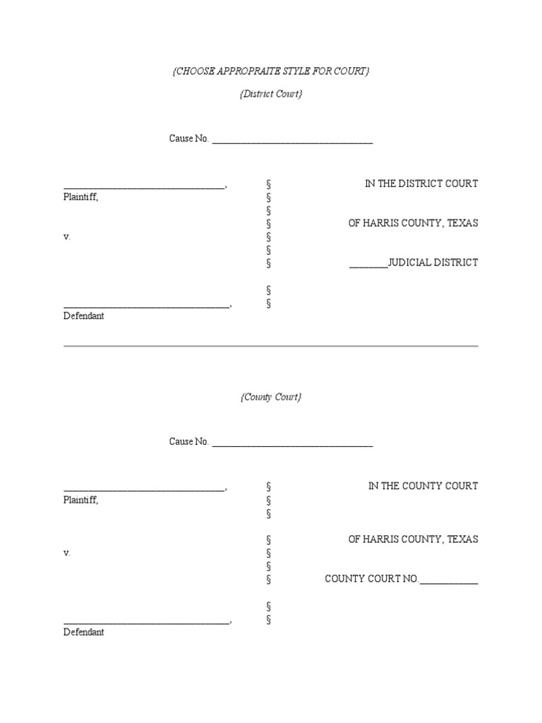 Caption or Style of The Case | PDF | Family Law | Marriage