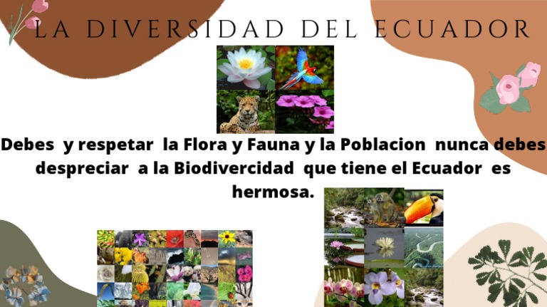 La Diversidad Del Ecuador PDF | PDF