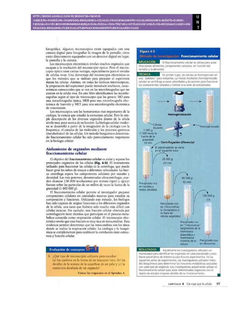 Fracc Subcelular | PDF | Tecnología