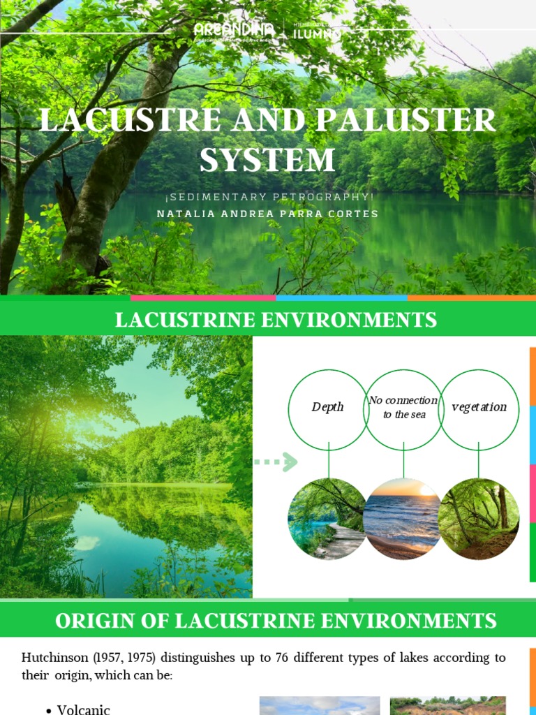 Ambientes Lacustres y Palustres PDF | PDF | Lake | Rocks