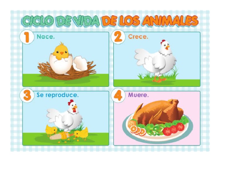 Ciclo de Vida Seres Vivos | PDF