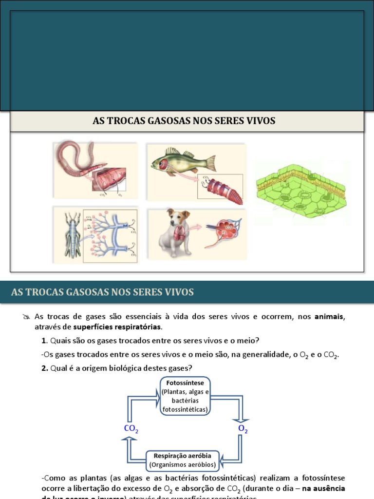 Trocas Gasosas em Seres Vivos | PDF | Brânquia | Respiração