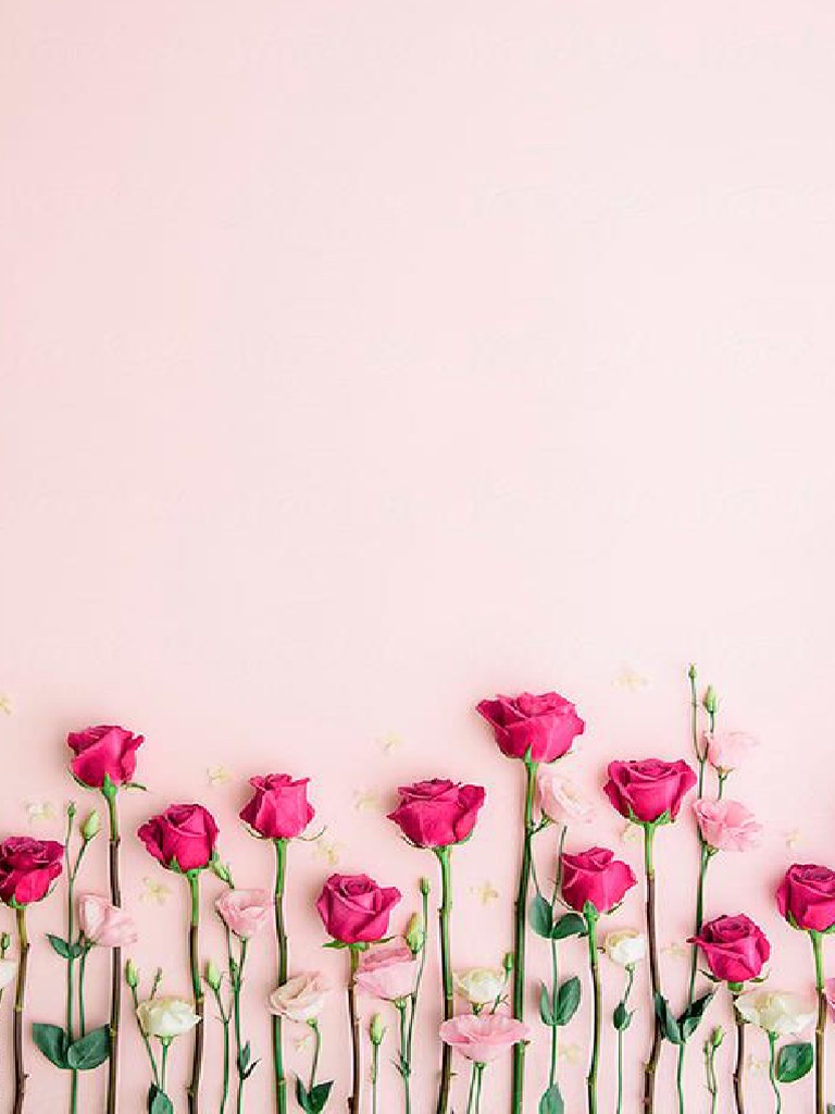Fondo Rosa y Rosa Fucsia | PDF