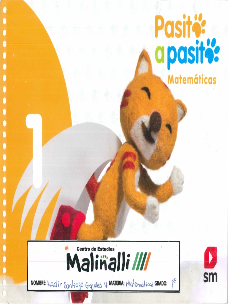 Pasito A Pasito | PDF