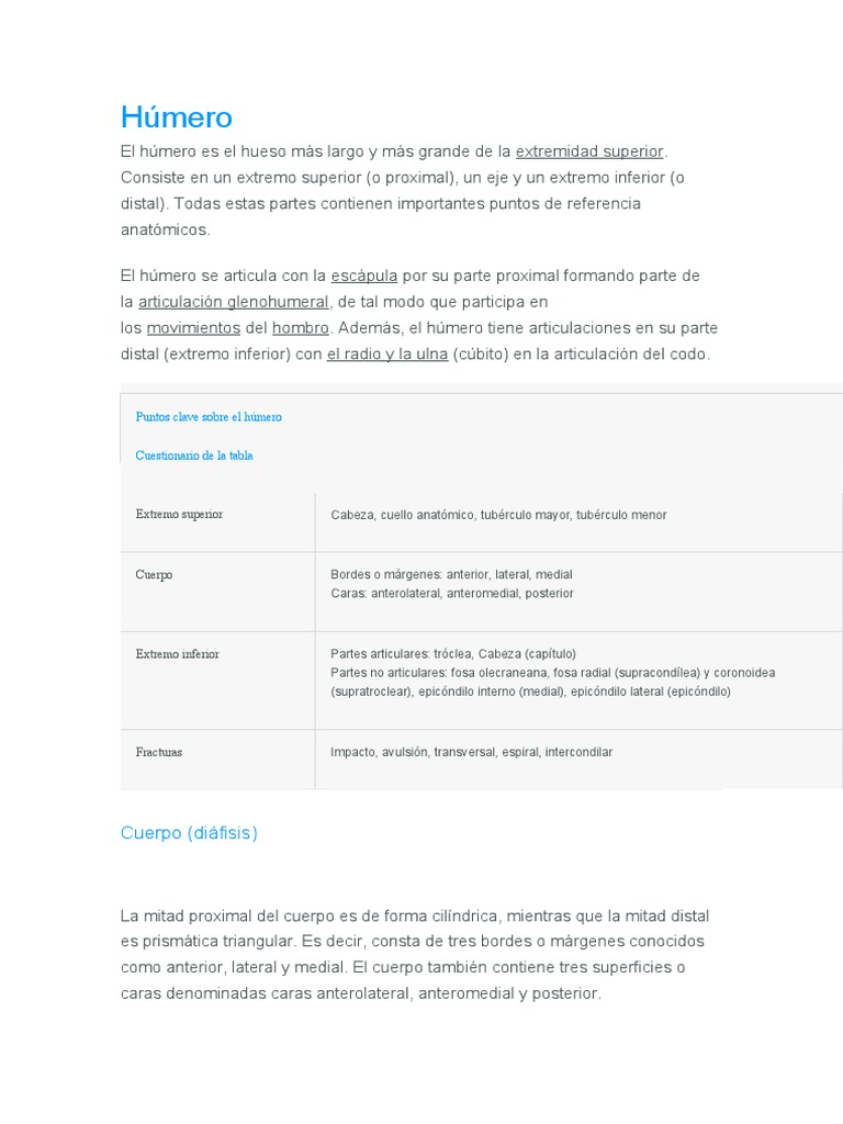 La anatomía del húmero: características clave del hueso del brazo | PDF ...