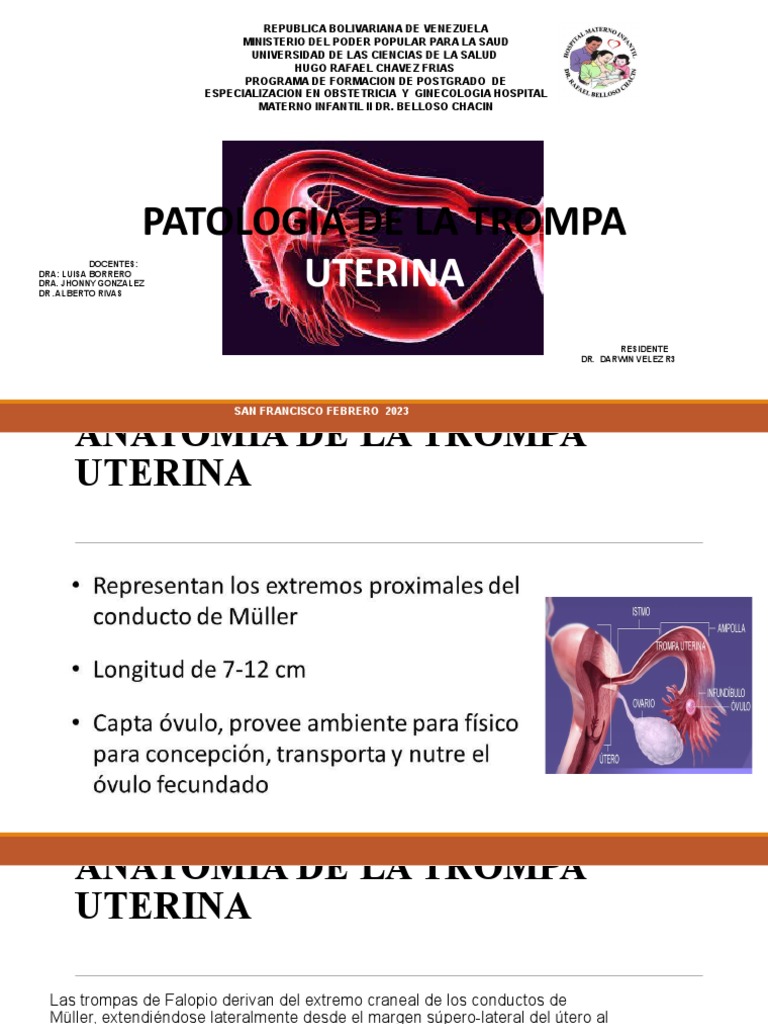 Trompa 1 | PDF | Sistema Reproductor Femenino Mamífero | Especialidades Medicas