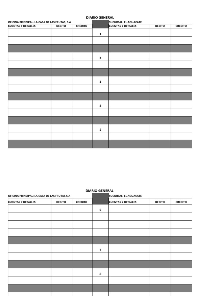 Diario General Casa Matriz y Sucursales para Ejemplo | PDF