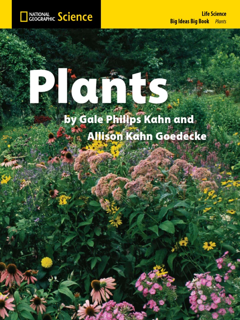 Sci Plant Bib Fwo PDF | PDF | Plants | Trees