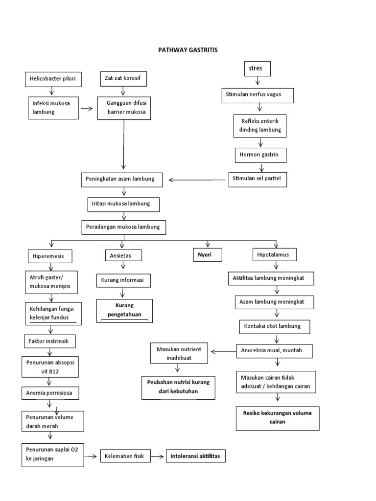PATHWAY GASTRITIS | PDF