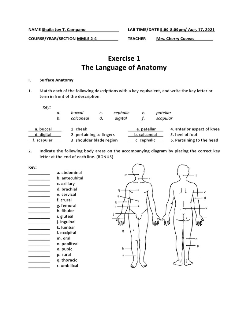 ACTIVITY 1 Human Anatomy and Physiology and Pathophysiology | PDF