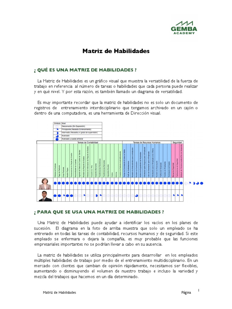 Matriz de Habilidades | PDF | Gestión de recursos humanos