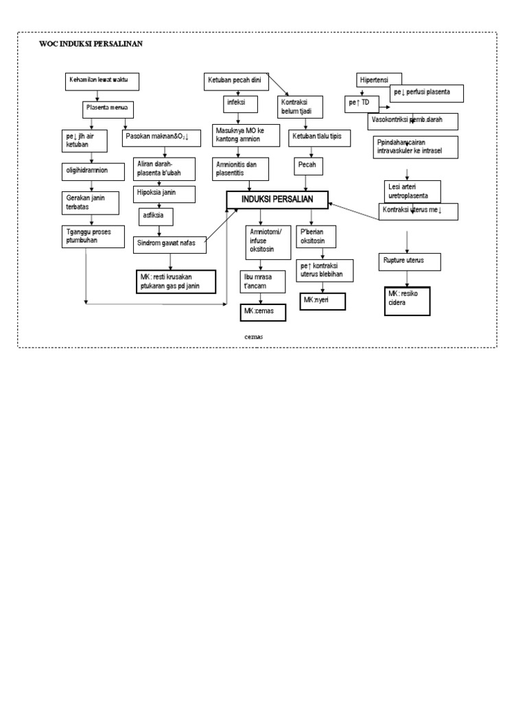 fdokumen.com_woc-induksi-persalinan-viewwoc-induksi-persalinan-mk ...