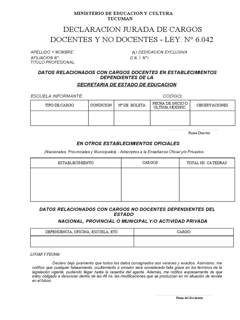 DDJJ de Cargos | PDF