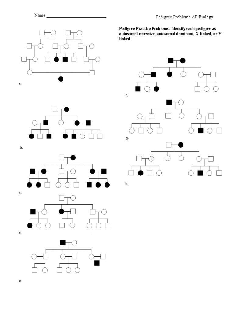 AP Biology Pedigree Practice | PDF | Language Arts & Discipline