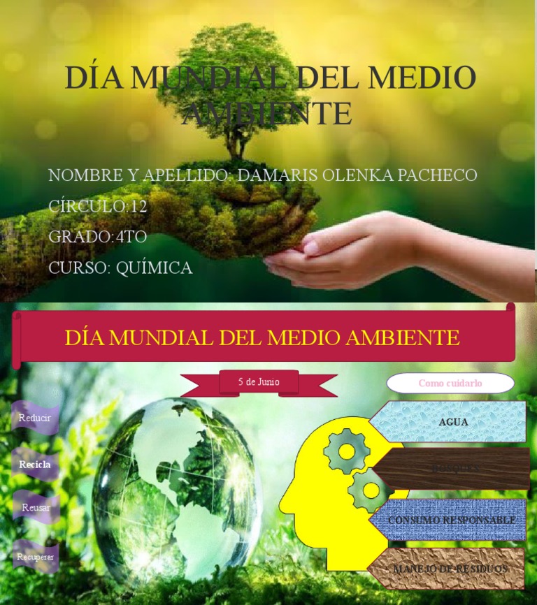 Día Mundial Del Medio Ambiente | PDF
