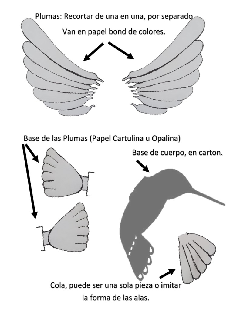 Plantilla Colibri | PDF