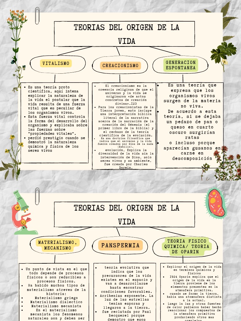 Mapa Conceptual Teorías Del Origen de La Vida | PDF | Creacionismo | Vida