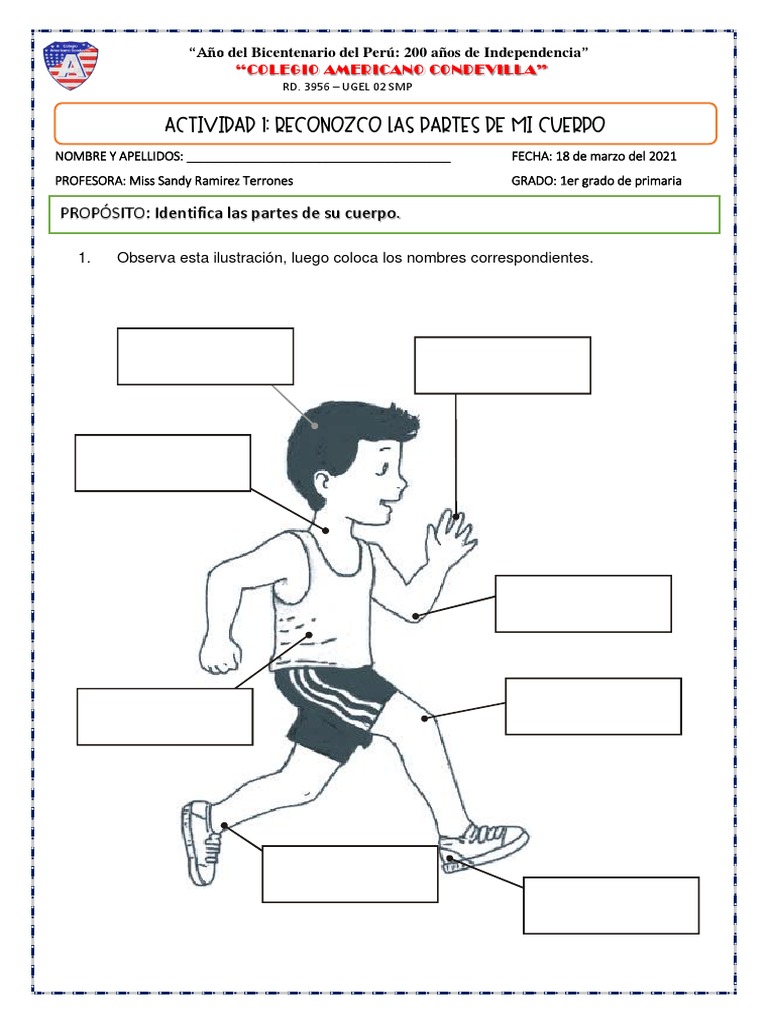 Ficha Del Cuerpo Humano Pdf