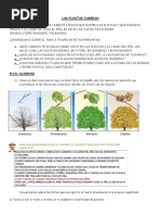 Cambios en Plantas: Secuencia Didáctica 3° | PDF | Plantas | Raíz