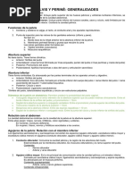 Partes De La Cavidad Pélvica Pdf Pelvis Anatomía Humana