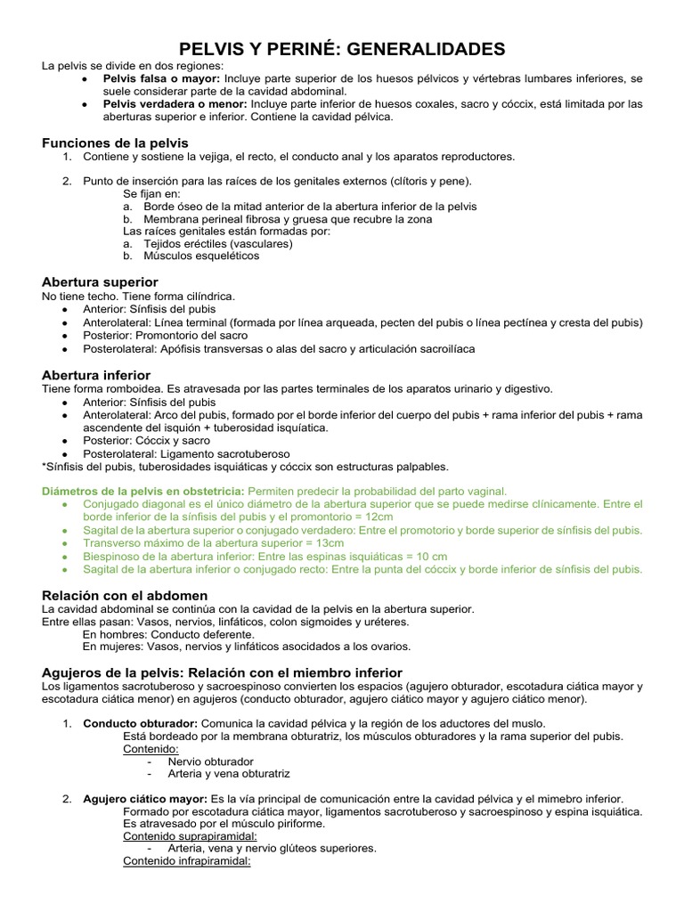 Anato 2 - Iii P PDF | PDF | Pelvis | Articulación