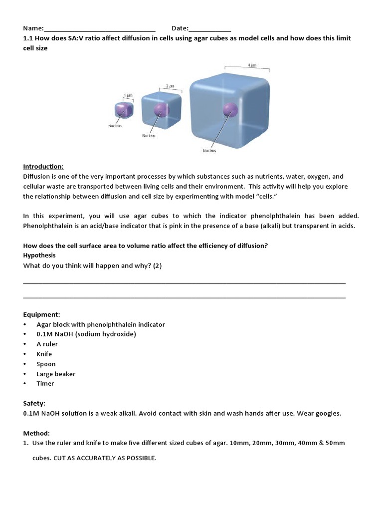 Surface Area To Volume Ratio Practical | PDF | Sodium Hydroxide | Volume