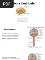 Sistema Ventricular | PDF