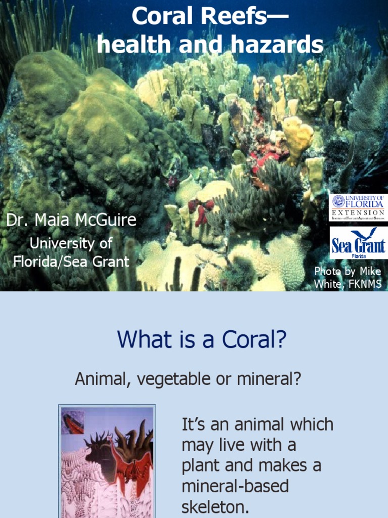 Coral Reefs | PDF | Coral Reef | Coral