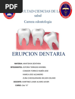 Oclusion Fosa Cuspide | PDF | Anatomia dental | Diente