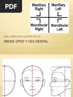 Códigos ICDAS para Diagnóstico de Caries | PDF | Esmalte de dientes | Flúor