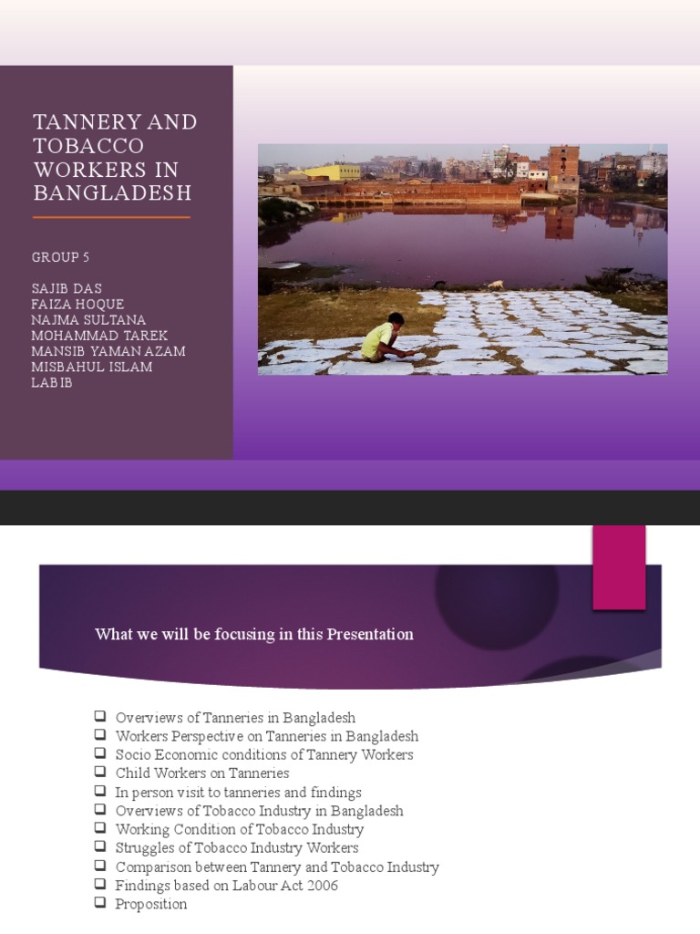 Tannery and Tobacco Workers in Bangladesh - Mansib Yaman Azam | PDF ...