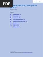 Observer-Scale POSAS-3.0 Generic-Scar English | PDF | Scar | Medicine