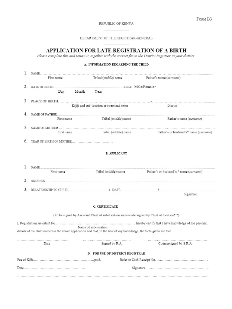 b3 Form - Birth Certificate | PDF