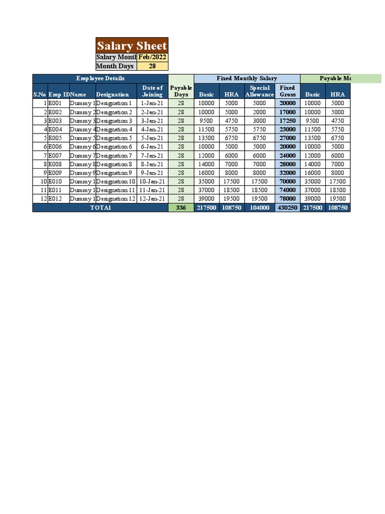 Salary Sheet Format (Latest) | PDF | Taxes | Government Finances