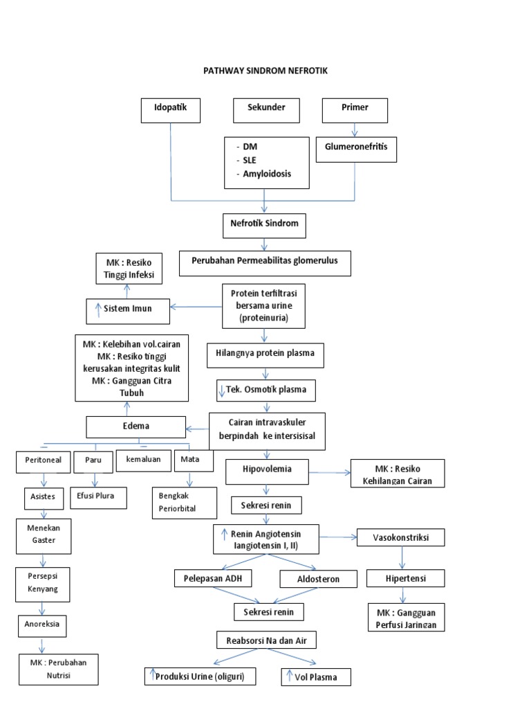 PATHWAY SINDROM NEFROTIK | PDF