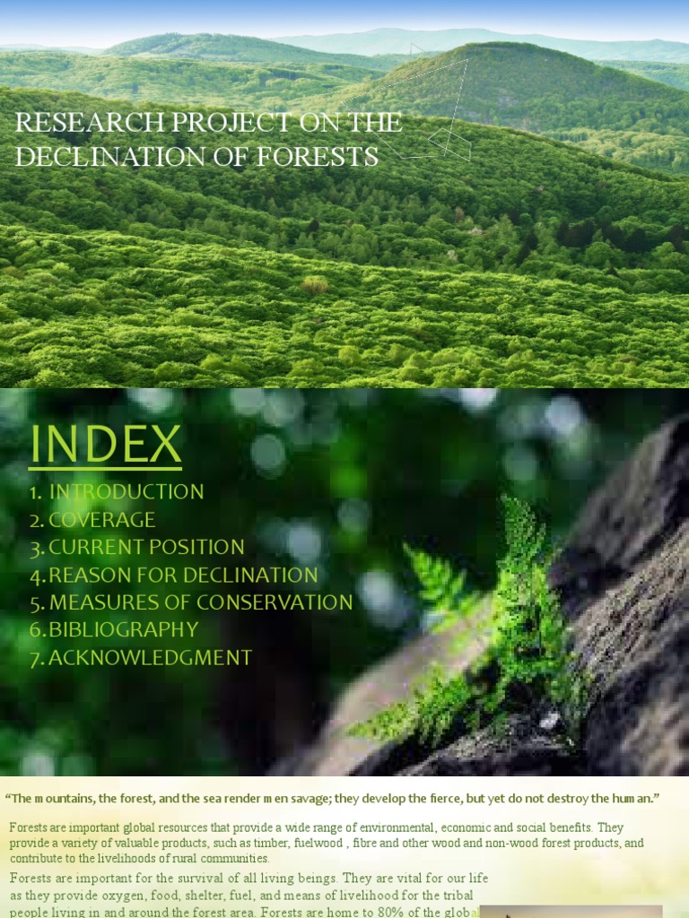 FORESTS Re | PDF | Forests | Tropics