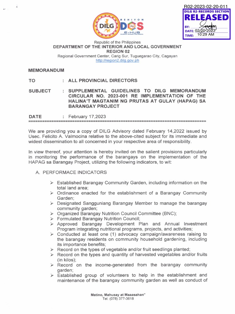 HAPAG sa Barangay Project Monitoring Form Provides Insights | PDF ...