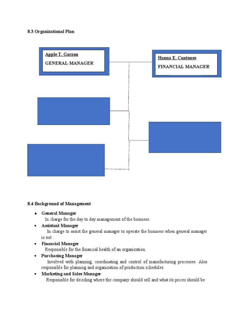 Apple Business Plan | PDF | Expense | Balance Sheet