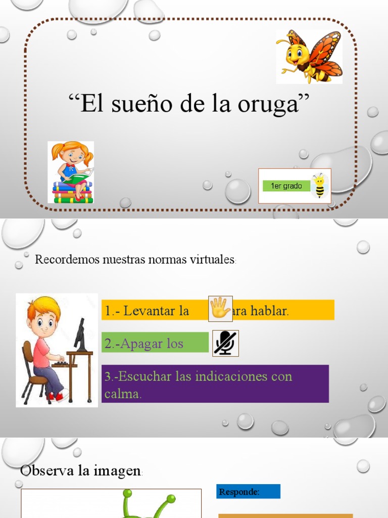 Plan Lector El Sueño de La Oruga | PDF