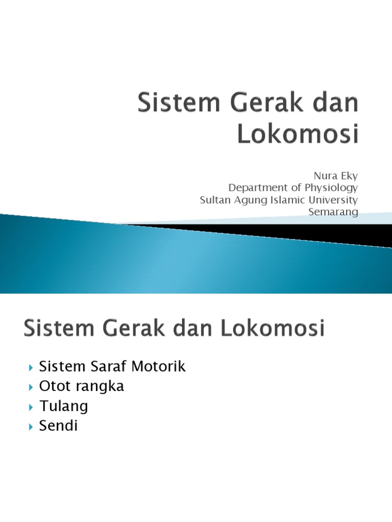 Faal Musculo PDF | PDF