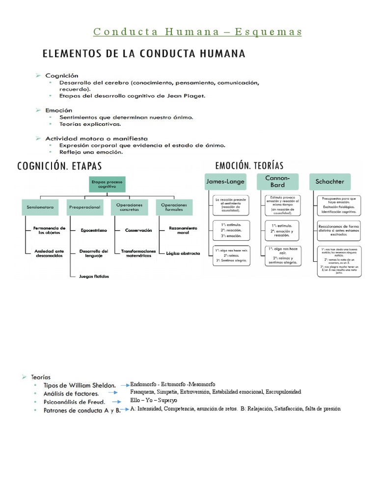 Anexo 04 - Conducta Humana | PDF | Aprendizaje | Sicología