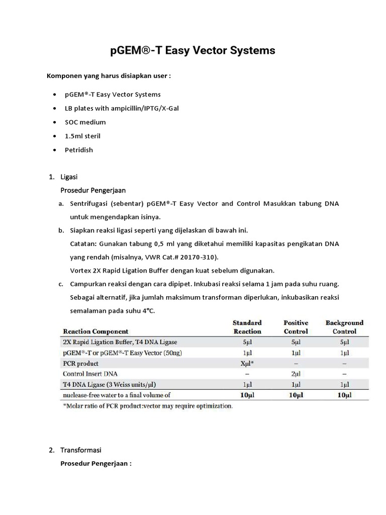 pGEM®-T Easy Vector Systems | PDF