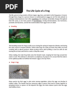 FUGTONG | PDF | Fairy Tales | Folklore