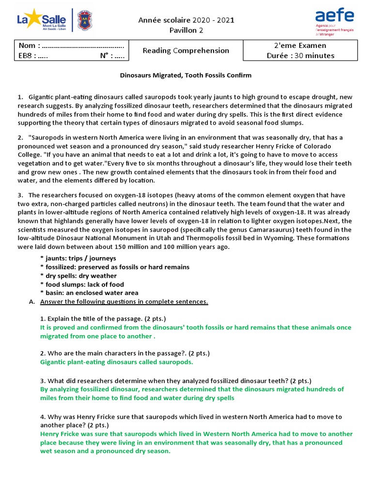 Grade 8 - Answer Key | PDF | Dinosaurs | Fossil