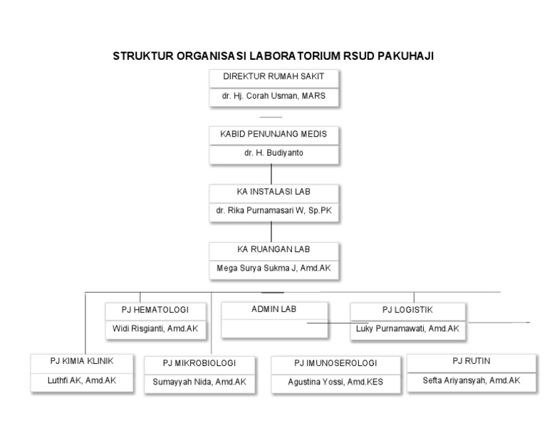 STRUKTUR ORGANISASI LABORATORIUM RSUD PAKUHAJI | PDF