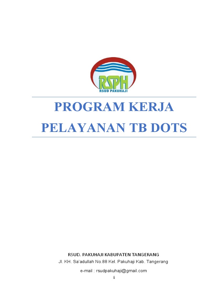 Program Kerja TB Dots RSPH | PDF