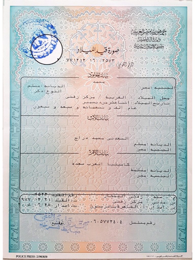 Mohamed Elsadany Birth Certificate | PDF