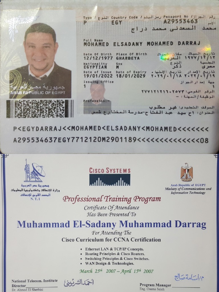 Mohamed Elsadany Passport ID | PDF