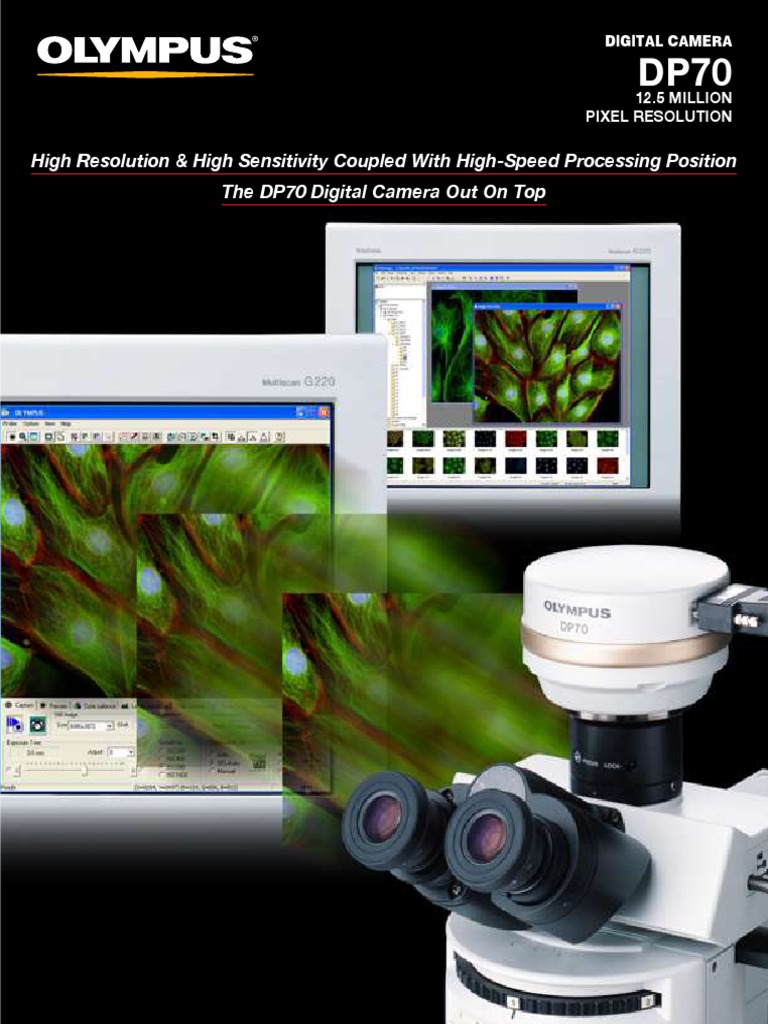 DP 70 | PDF | Image Resolution | Pixel