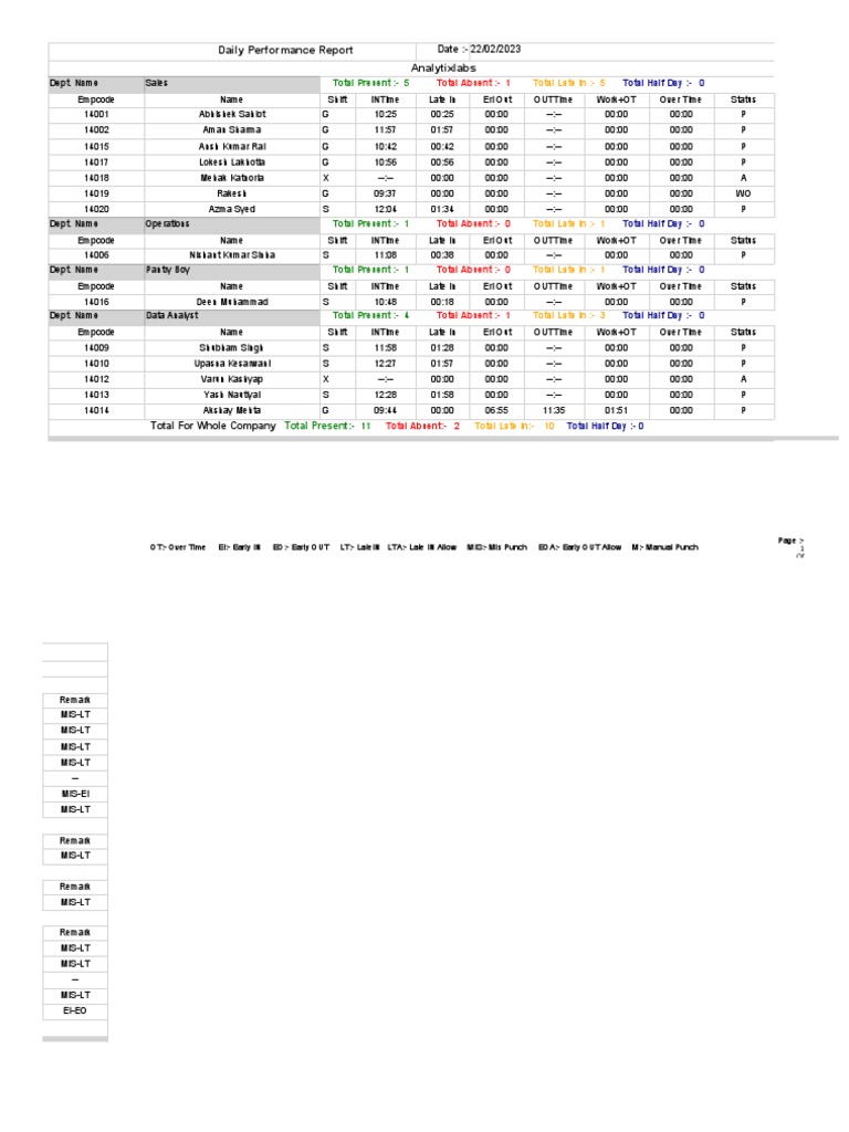 Daily Performance Report | PDF